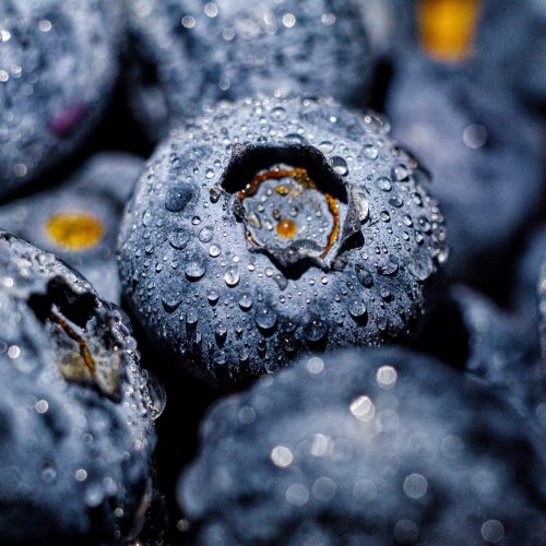 Betty Berry – Berries de la mejor calidad